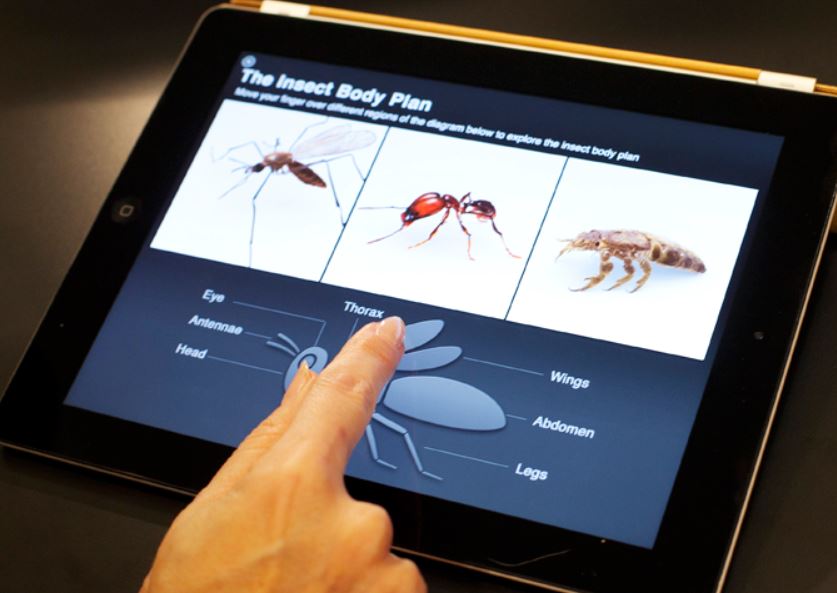 Libros digitales de texto interactivos para la escuela digital